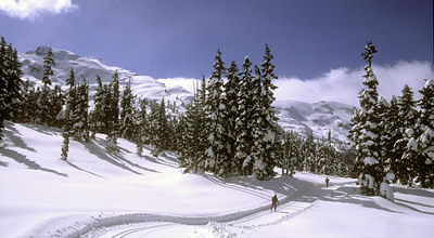 Spring Cross-Country Skiing in British Columbia; Snnowshoeing Too