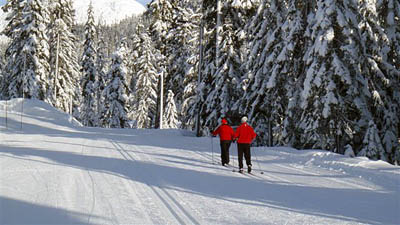 Spring Cross-Country Skiing in British Columbia; Snnowshoeing Too